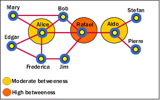 Social Network Analysis (SNA) Software with Sentinel Visualizer Diagrams